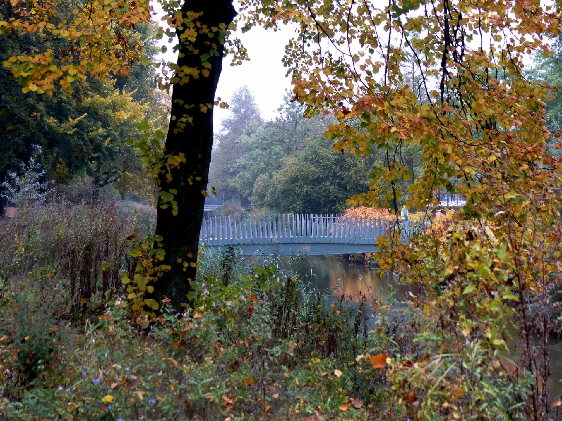 Sensor-filled biobridge opening to foot traffic in the Netherlands