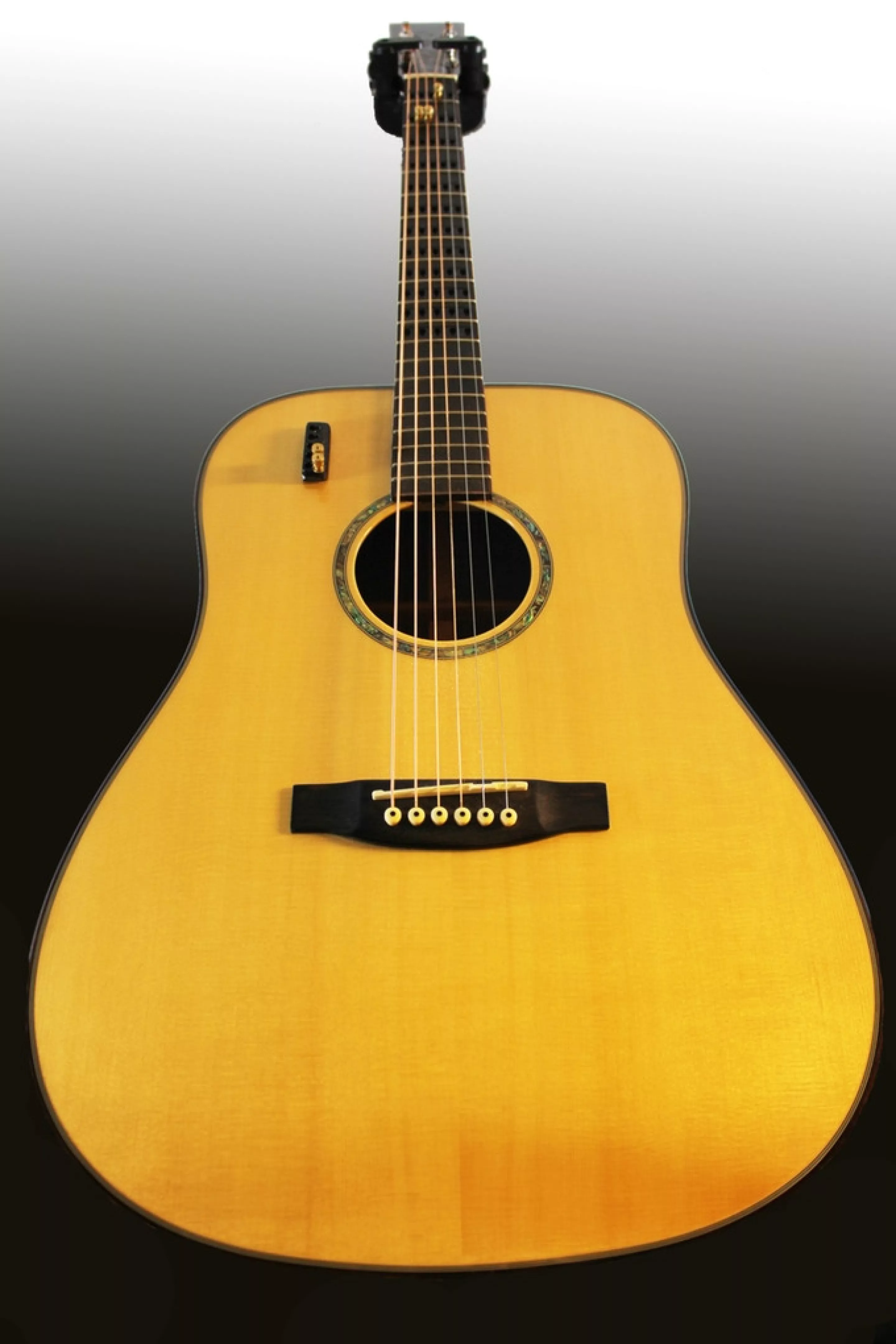 Acoustic guitar lets you lock single string capos to the neck