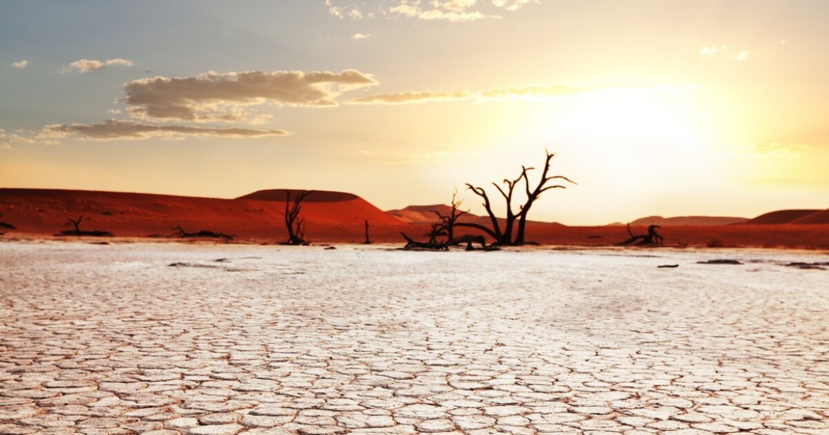 State of the Climate report paints 2018 as a devastating, record ...