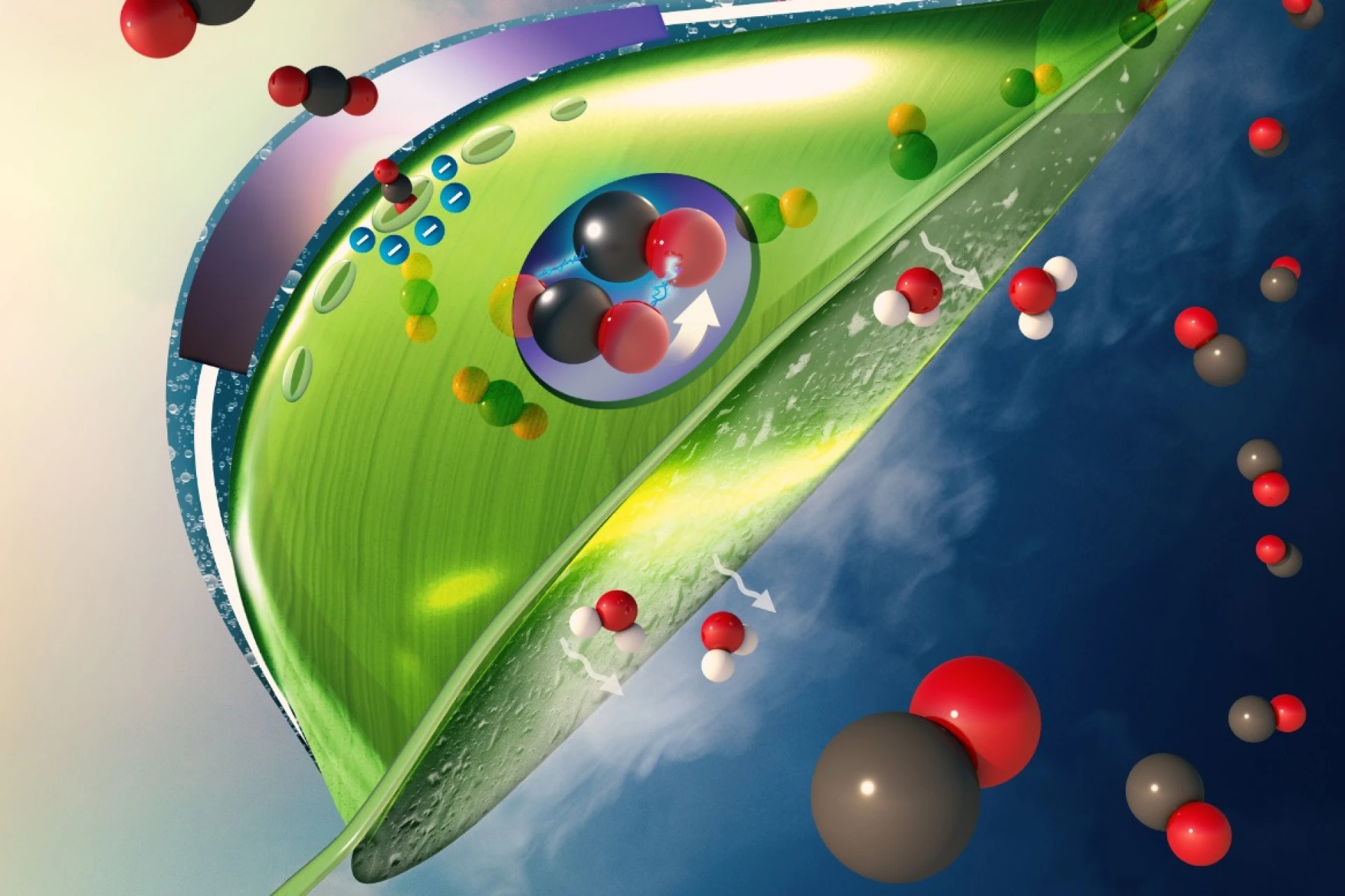Novel "artificial leaf" design ups the carbon capture rate by 100x