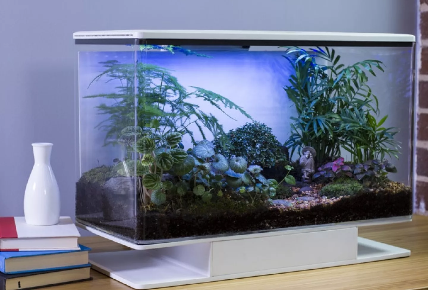 App-controlled terrarium puts on a sound and lightning show