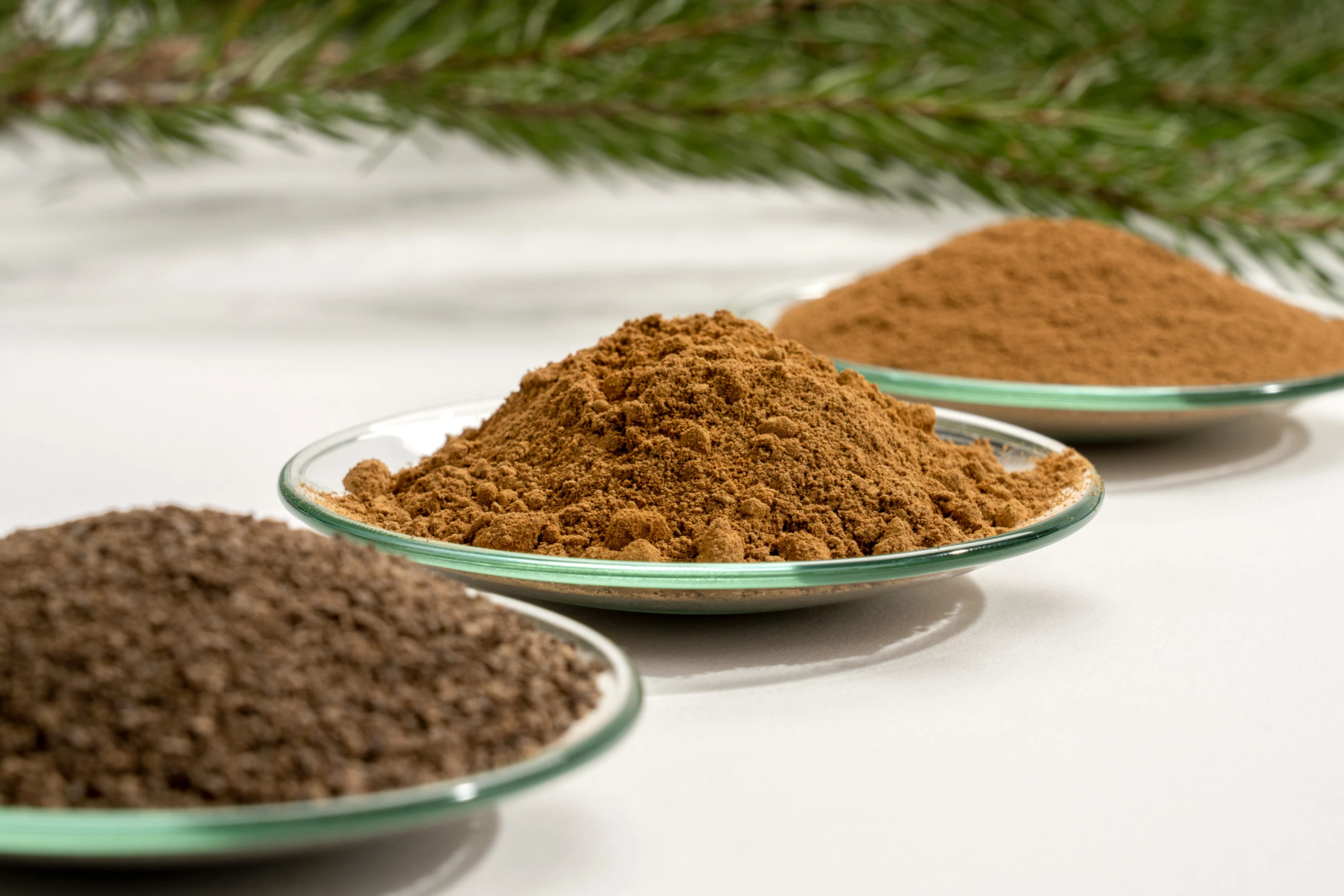 Fast-charging sodium-ion battery uses anodes made from trees