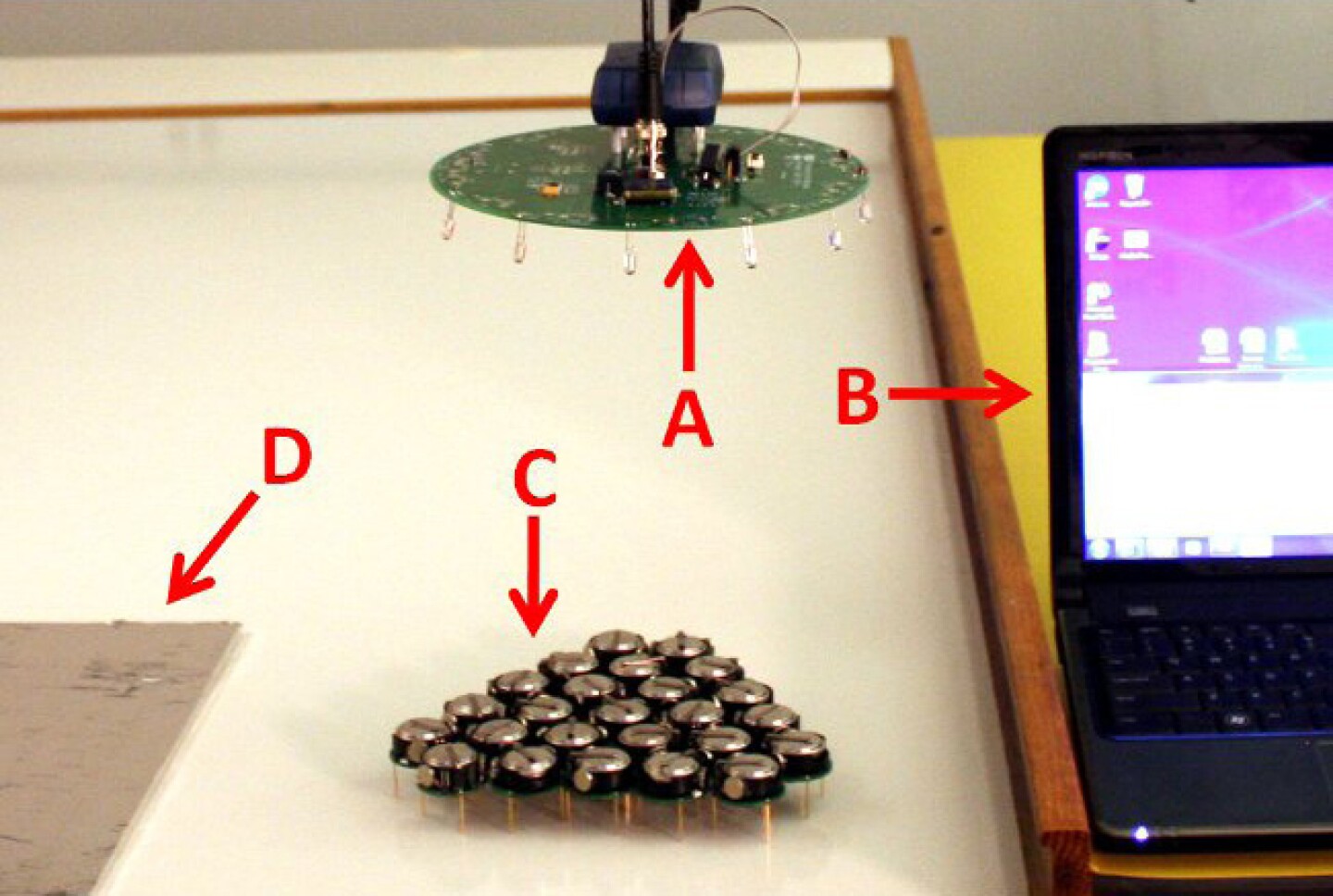One hundred Harvard Kilobots swarm together