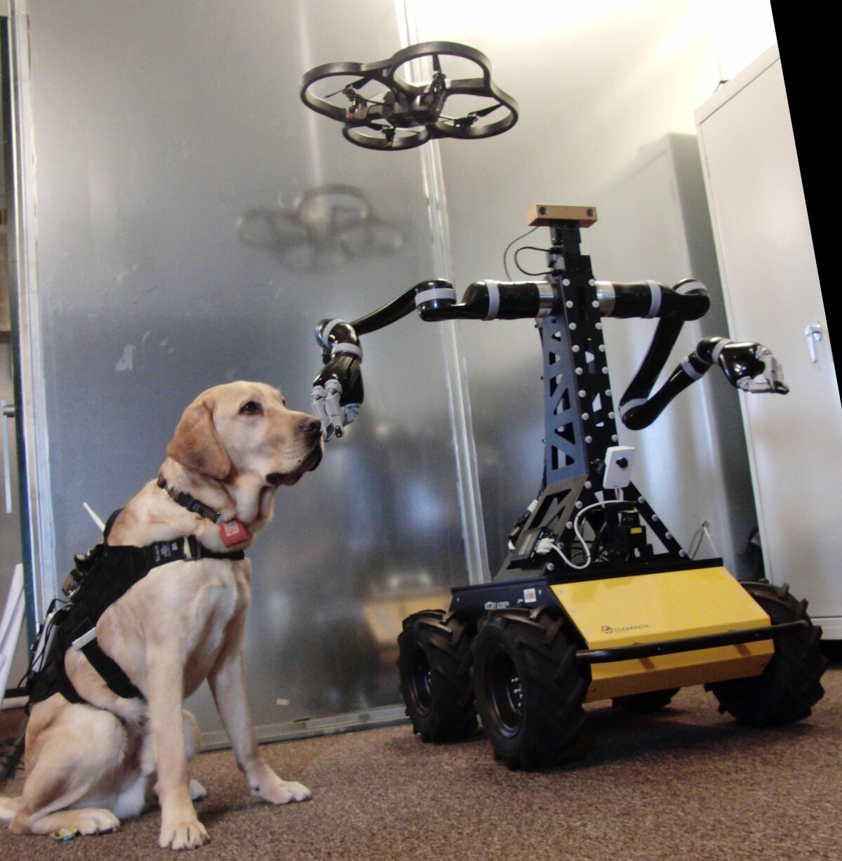 Smart harness could turn rescue dogs into four-legged reconnaissance ...
