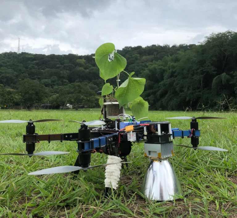 Meet the artist giving control of machetes to plants & guns to flies