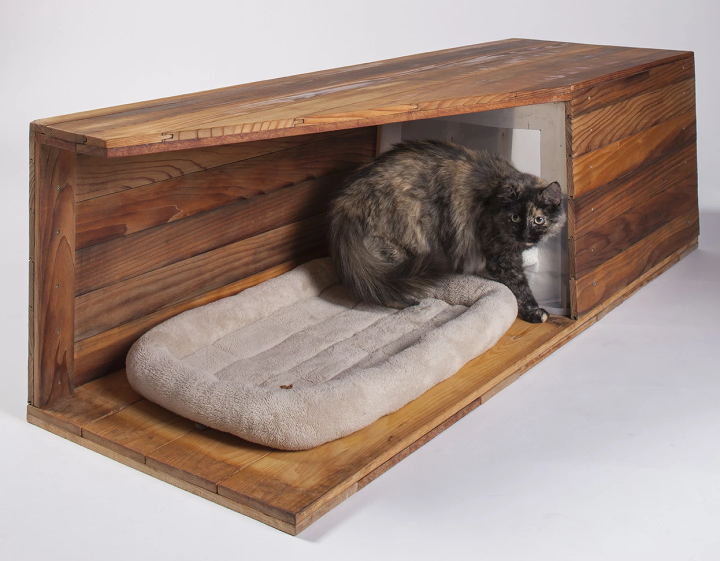 Cutting edge architecture ... for cats