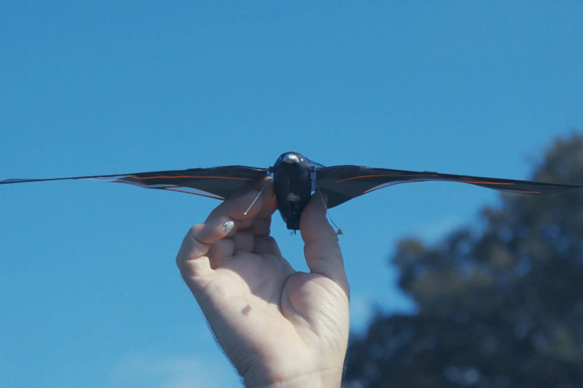 Robo-bird with dual tails flies fast or slow