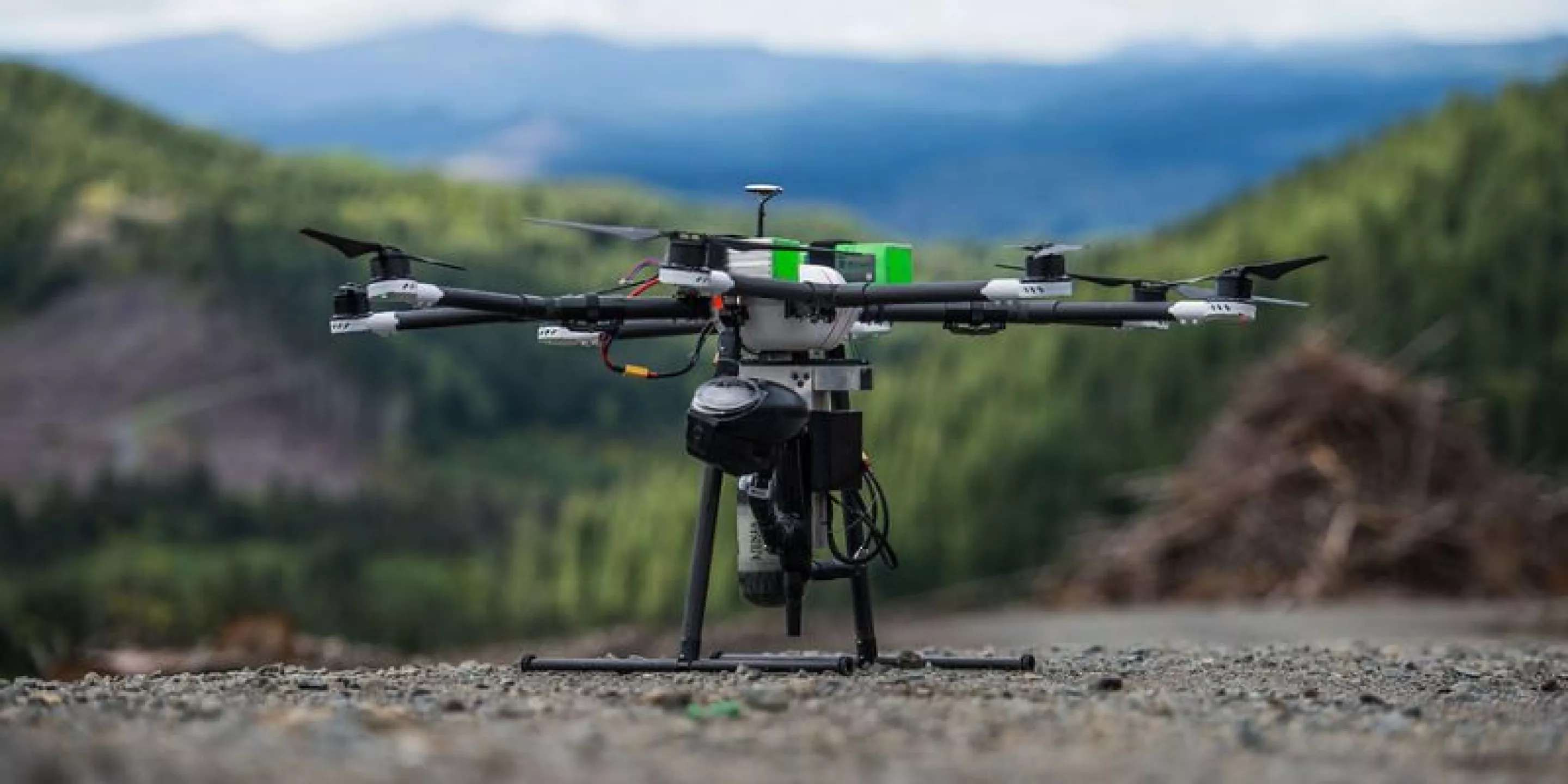 Tree-planting drones to speed up reforestation efforts