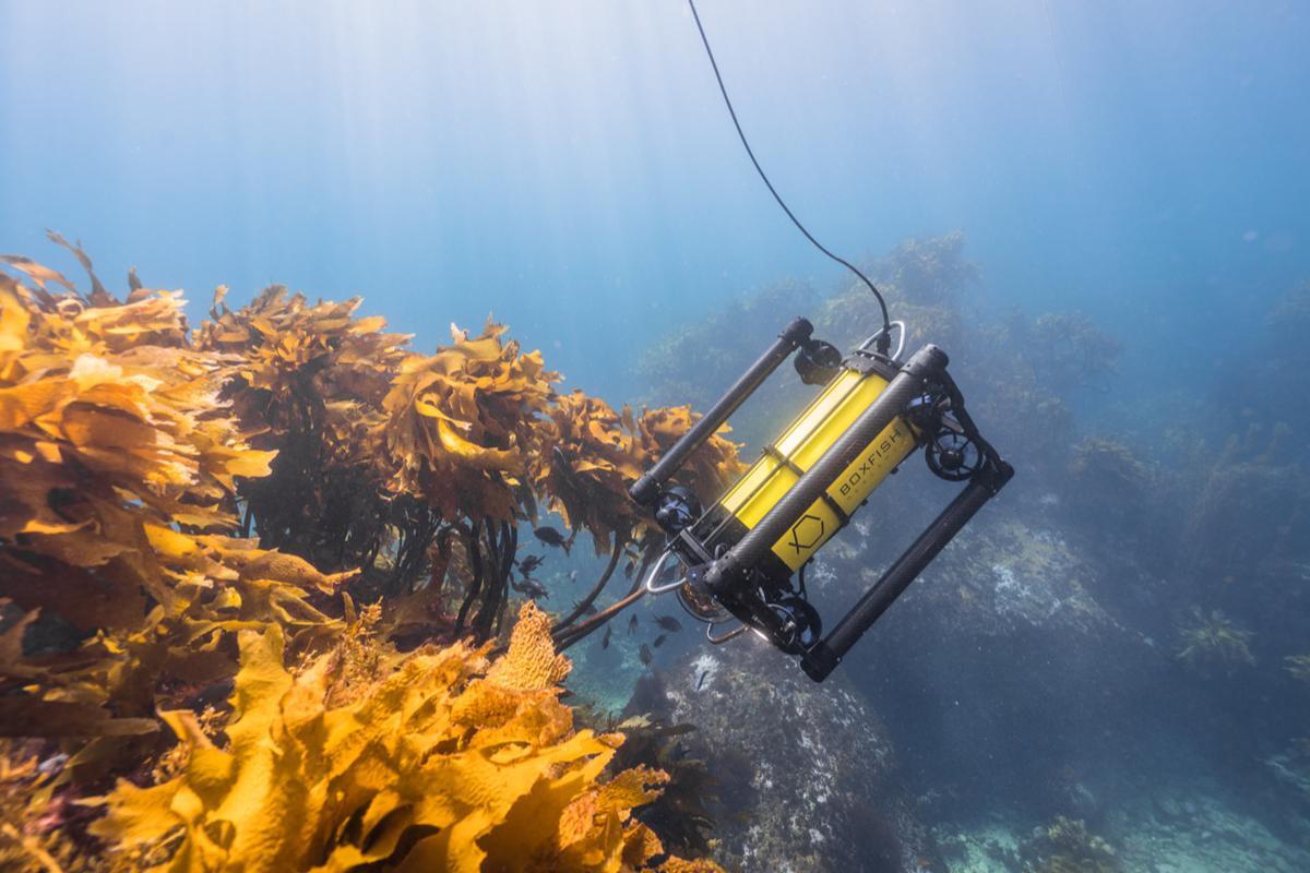 Boxfish ROV represents the state of the art in underwater camera drones