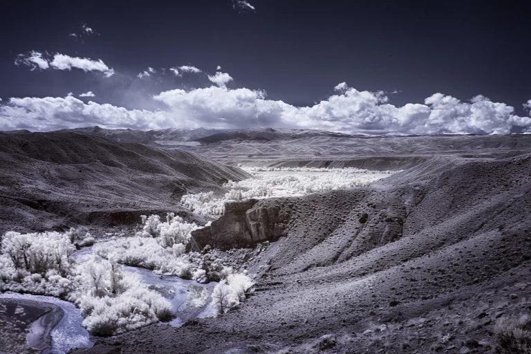 Gallery: The surreal and psychedelic art of infrared photography