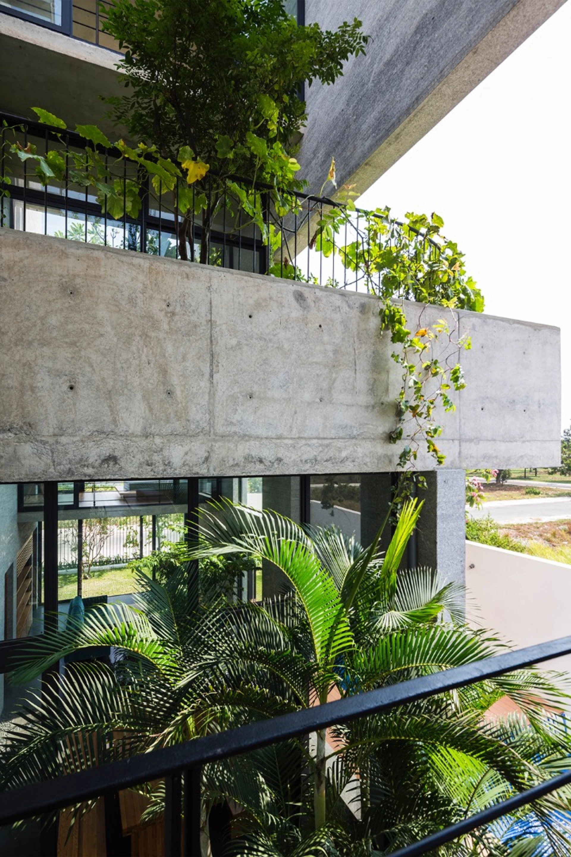 Greenery-filled concrete house keeps owners naturally cool