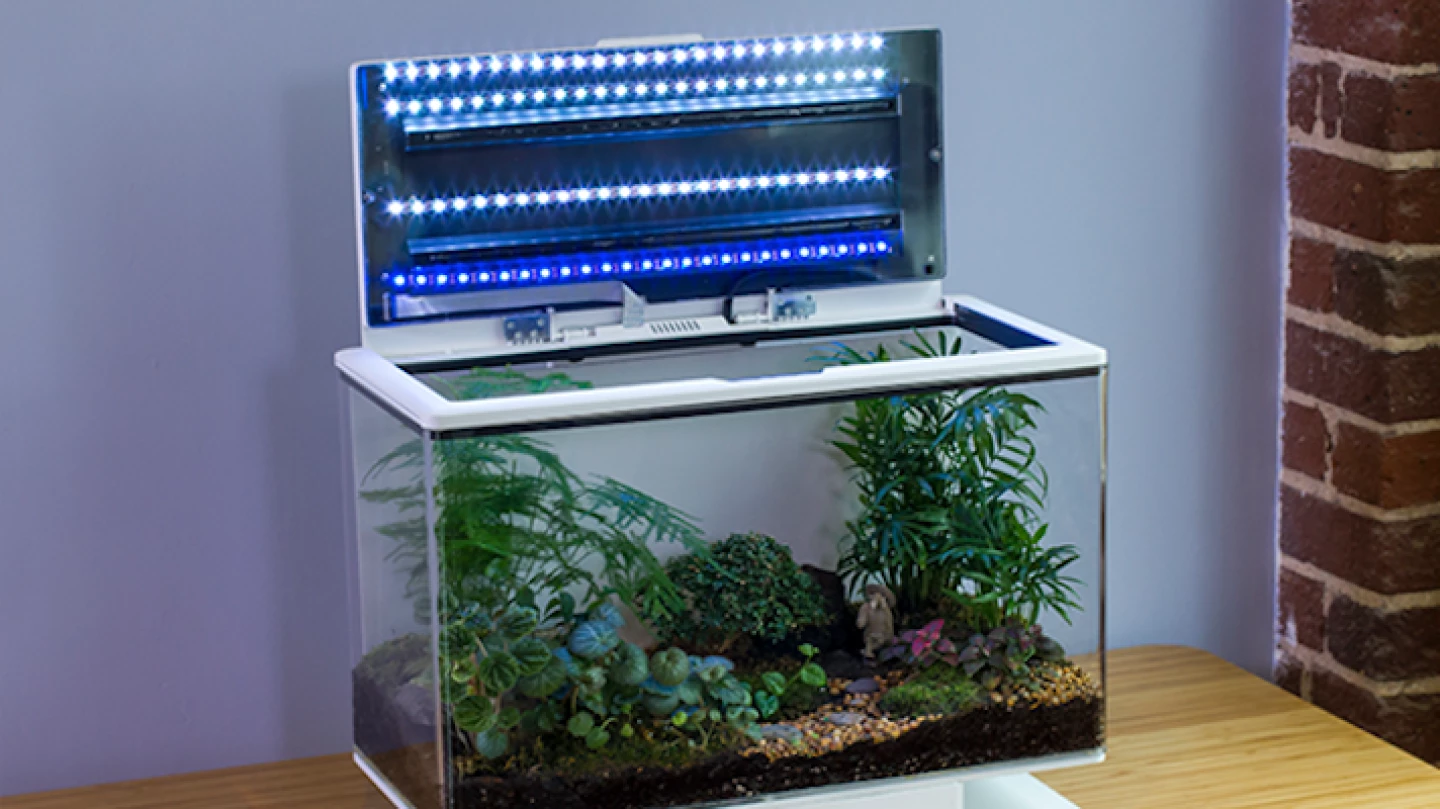 App-controlled terrarium puts on a sound and lightning show