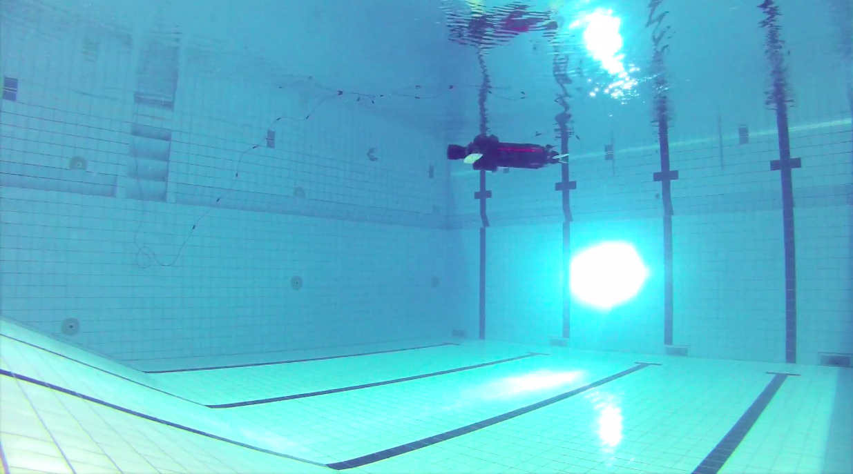 Robot sea turtle takes first dip in the pool