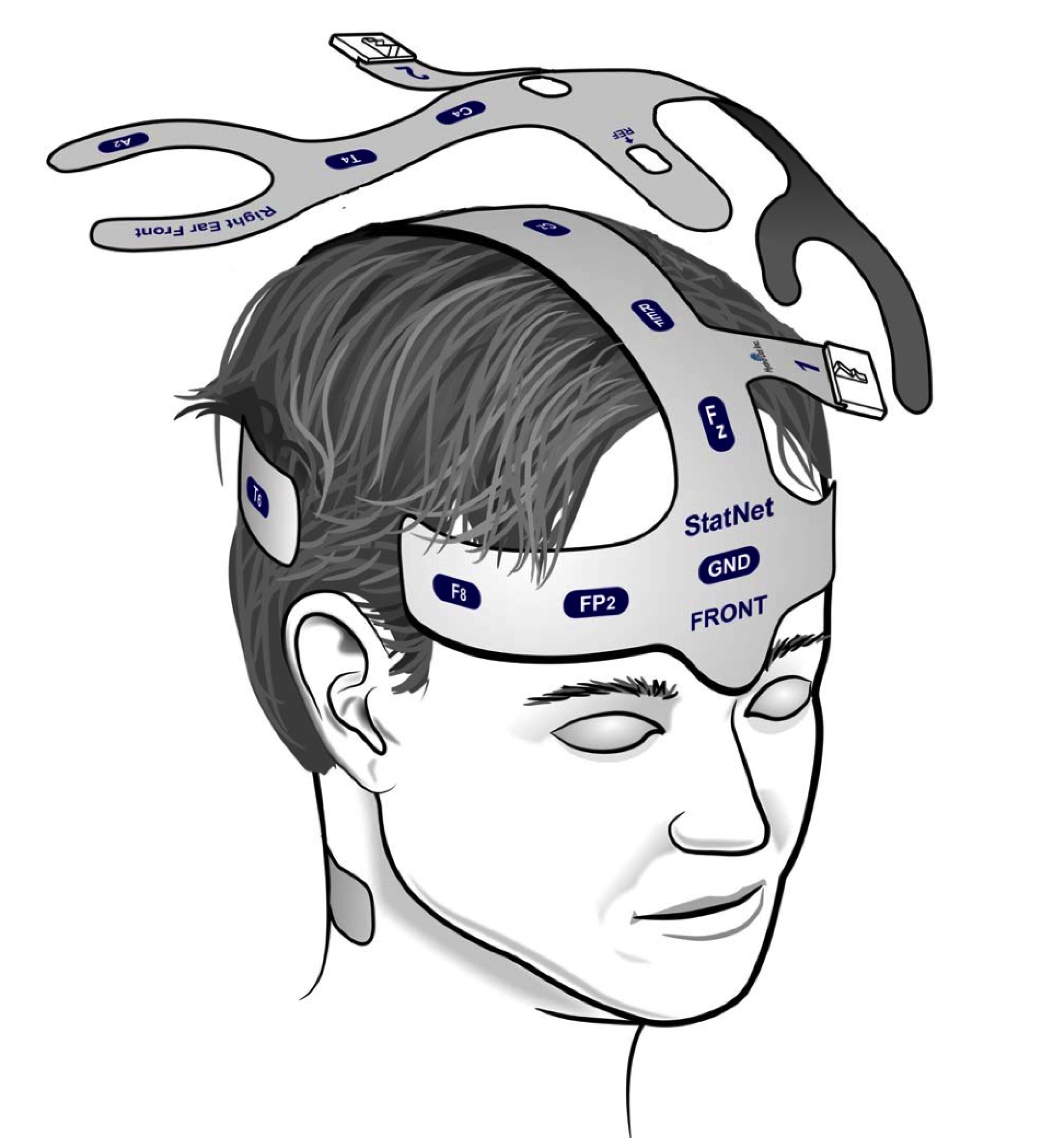 StatNet brings EEG into the 21st Century