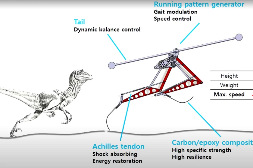 Watch: Flat out fast two-legged robot designed like a Velociraptor