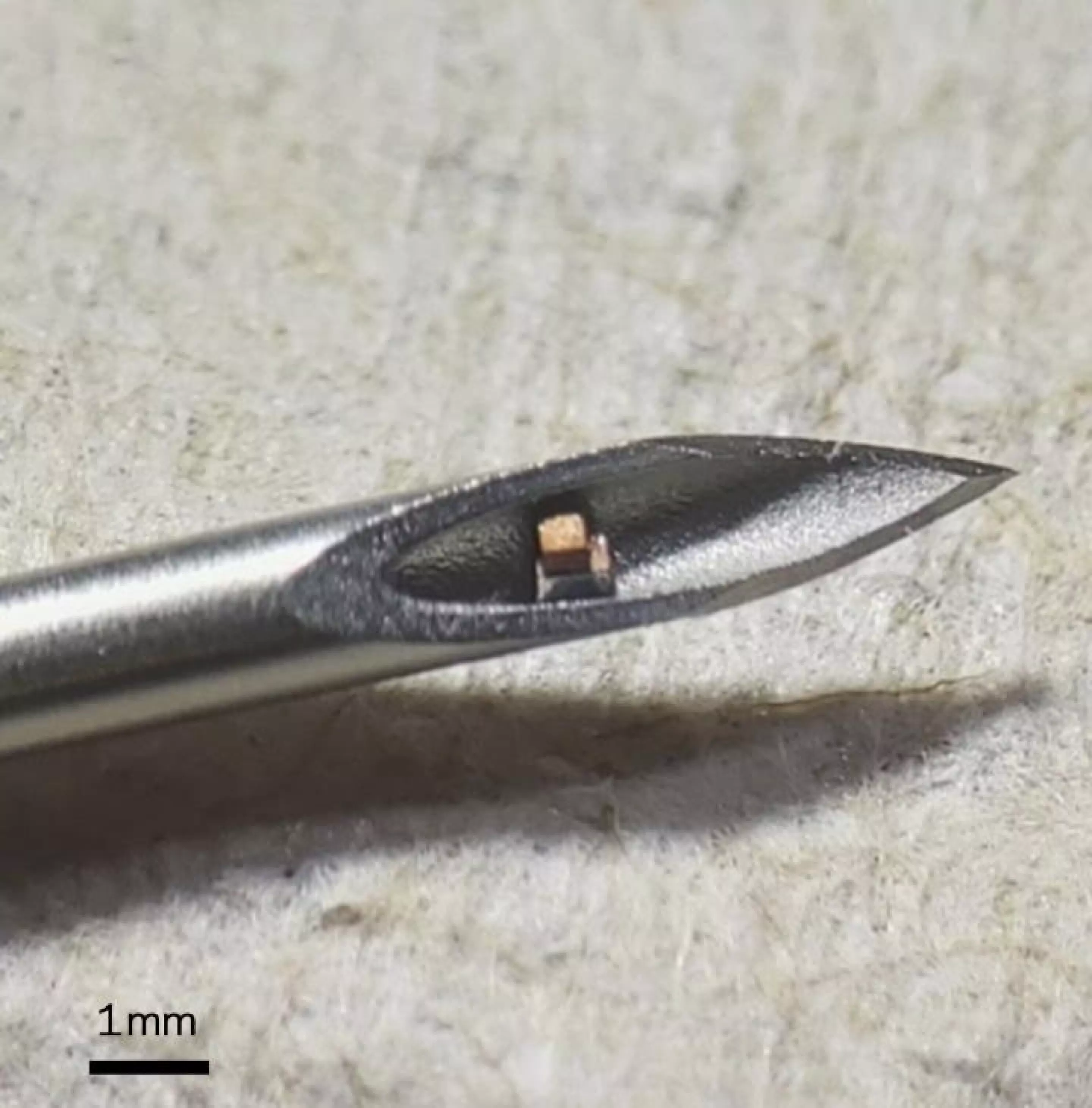 World's smallest single-chip system can be injected into the body