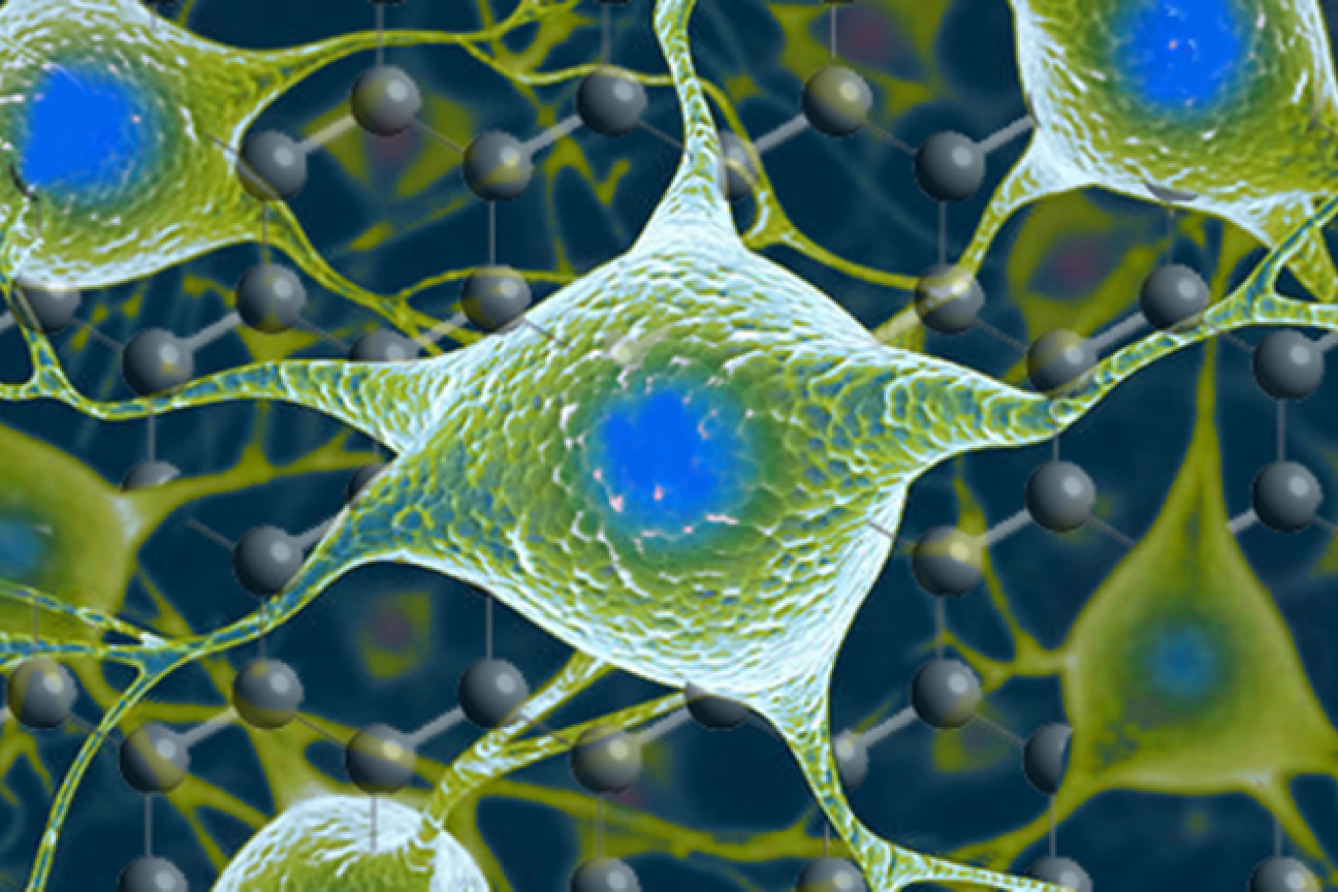 Graphene successfully interfaced with neurons in the brain