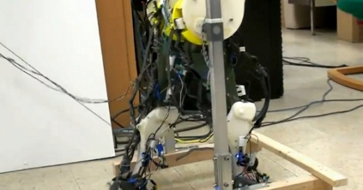 Biologically accurate robotic legs get the gait right