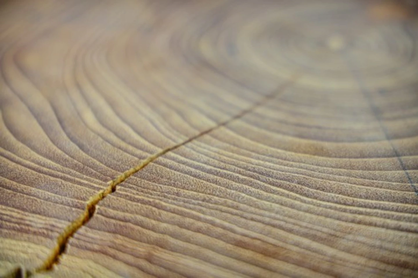 Radiocarbon dating curves recalibrated to boost archaeological accuracy