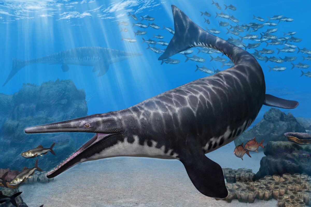 "New" mosasaur had a fish-grabbing snout like a crocodile