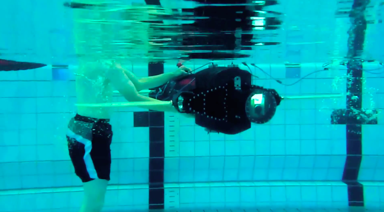 Robot sea turtle takes first dip in the pool