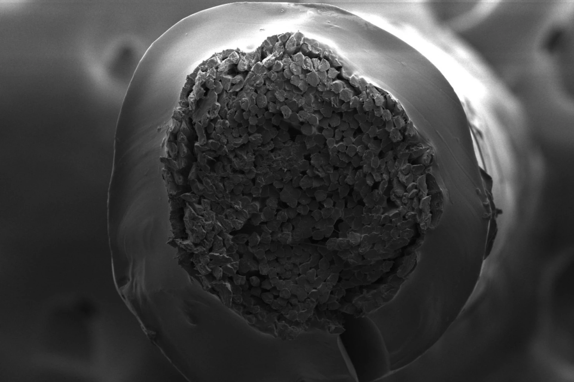 Next-gen sutures inspired by tendons boost healing and deliver drugs