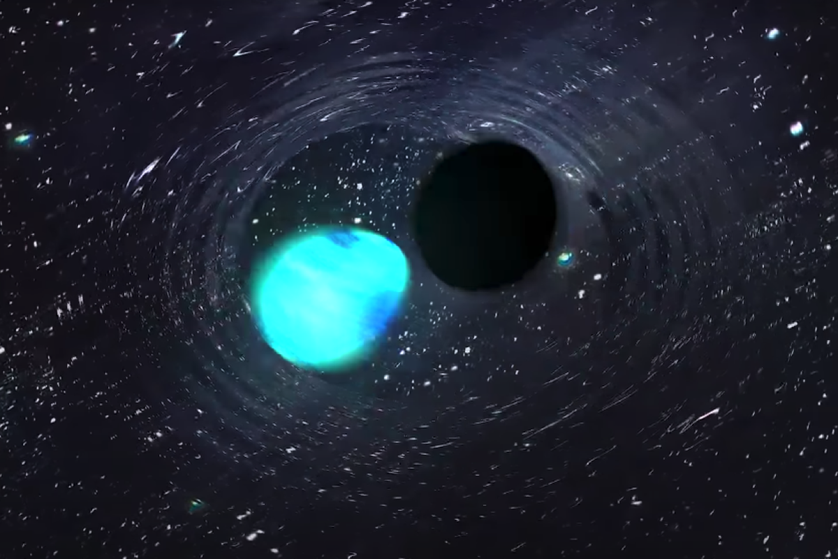 Gravitational wave trifecta completed as black holes eat neutron stars