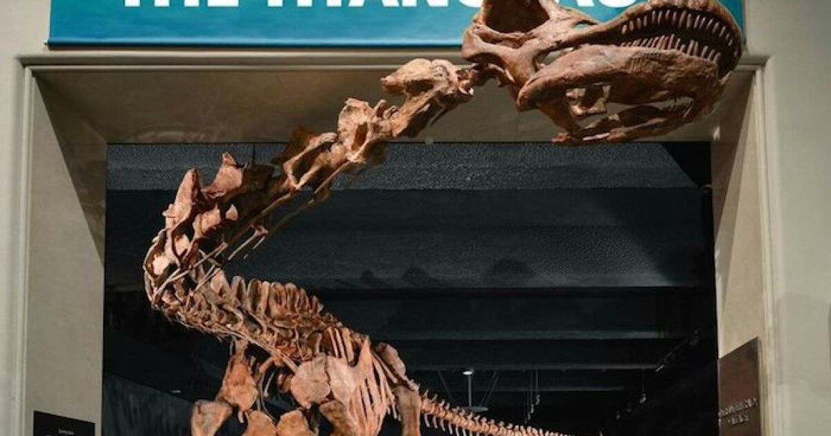 patagosaurus skeleton