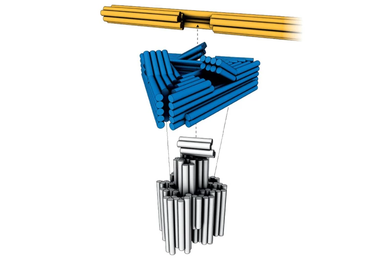 First self-assembling DNA nanomotor runs on electricity