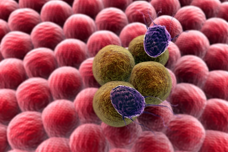 Primary tumors found to "freeze" spread of secondary cancers