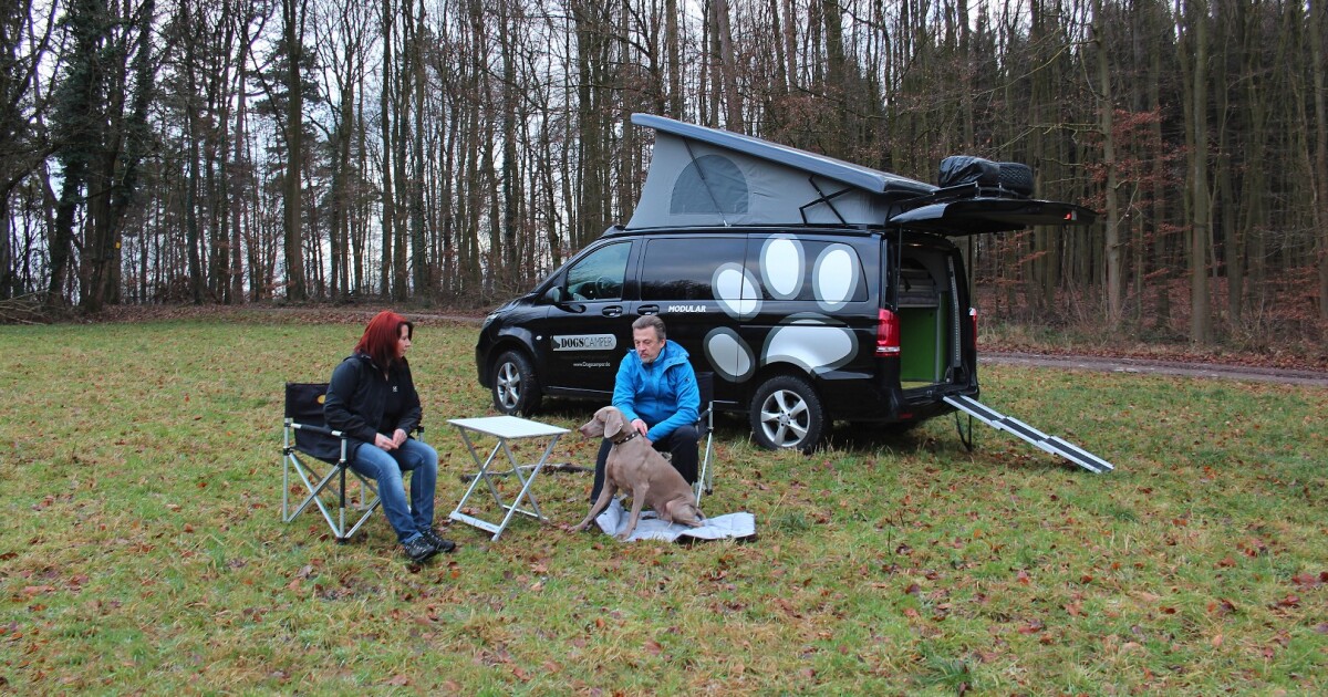 This modular camper van is one for the dogs (and their owners)