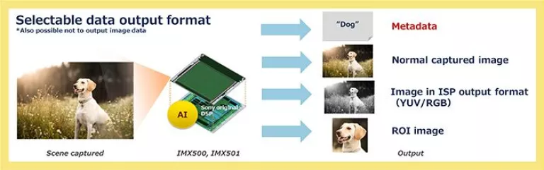 Sony announces camera sensor chips with built-in AI processing