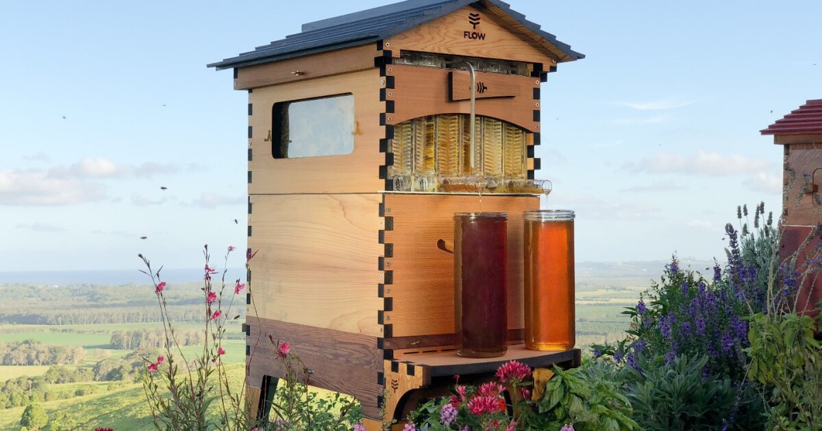 does flow hive come with bees