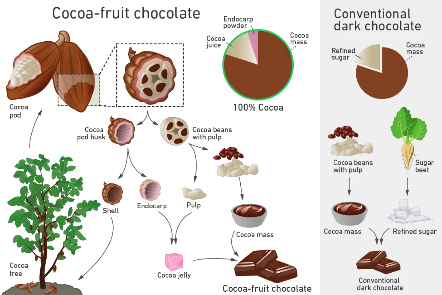 Swiss scientists invent a new type of chocolate