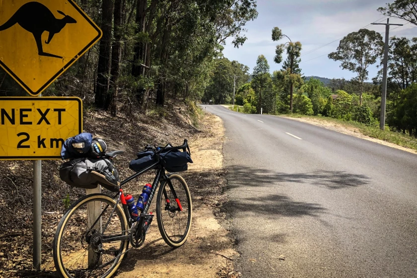 Bikepacking and bush-bashing through lush forest on Australia's ...