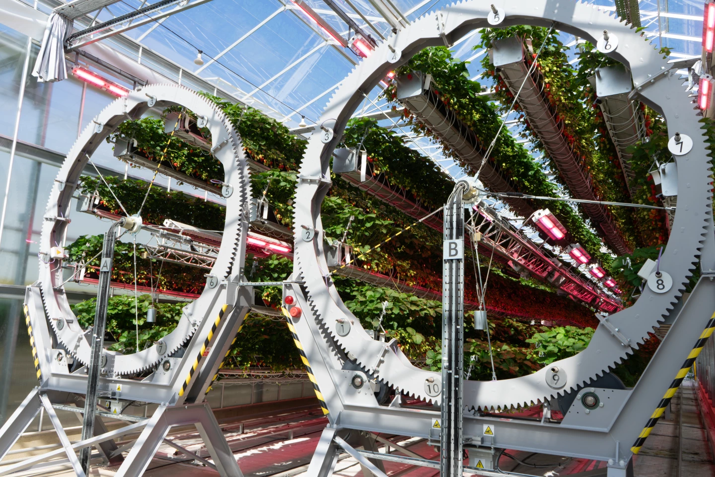 Dyson's vertical farming revolutionizes strawberry growth