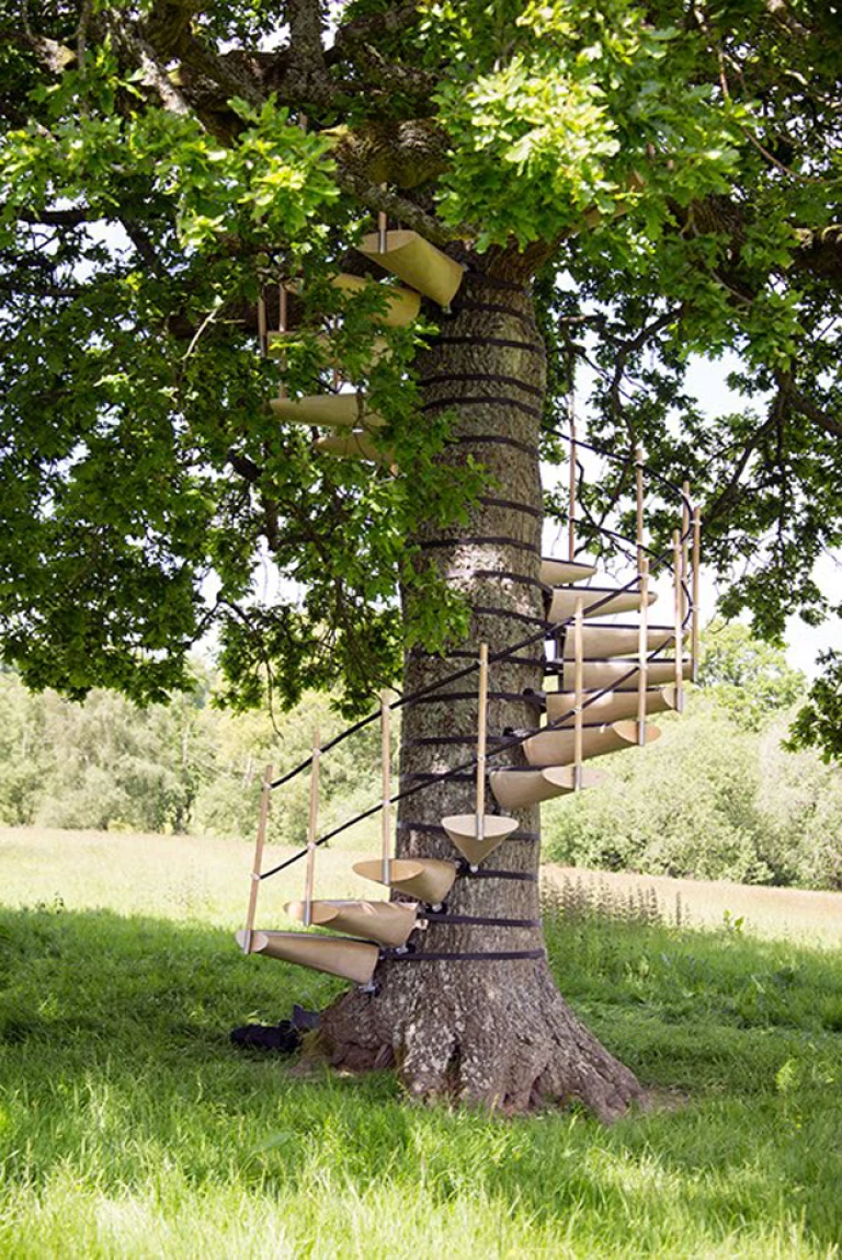 CanopyStair helps you traverse the treetops