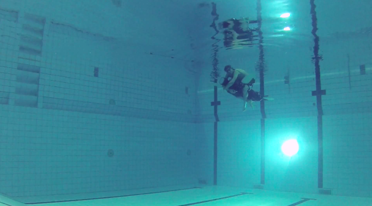 Robot sea turtle takes first dip in the pool