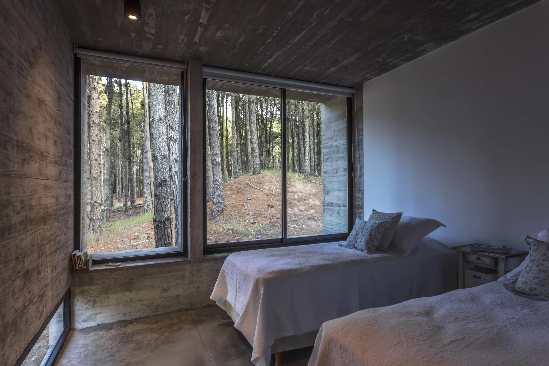 Striking Forest House keeps it concreted and classy on wooded coastline