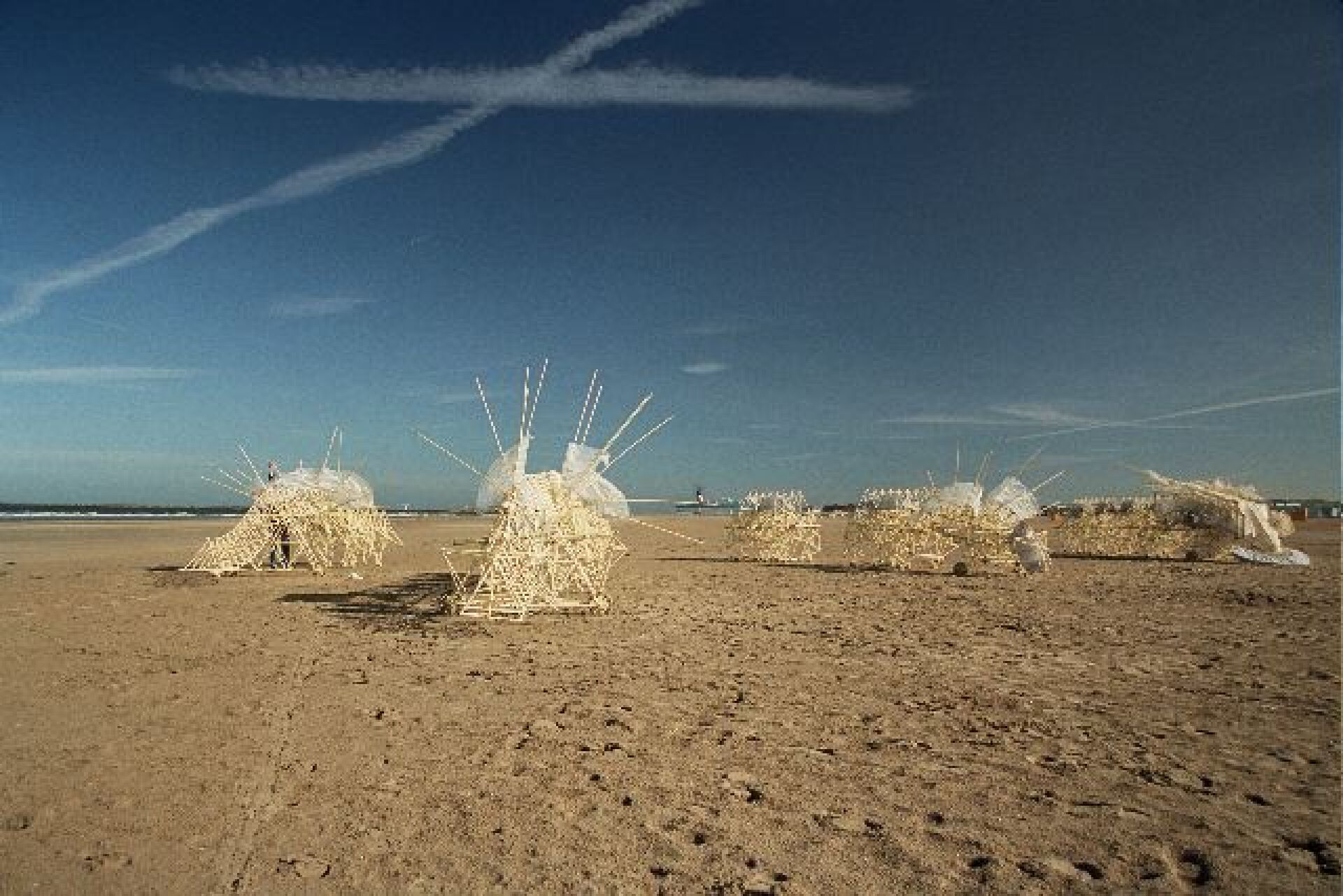 Evolving art: Majestic Strandbeest sculptures come to life on the beach