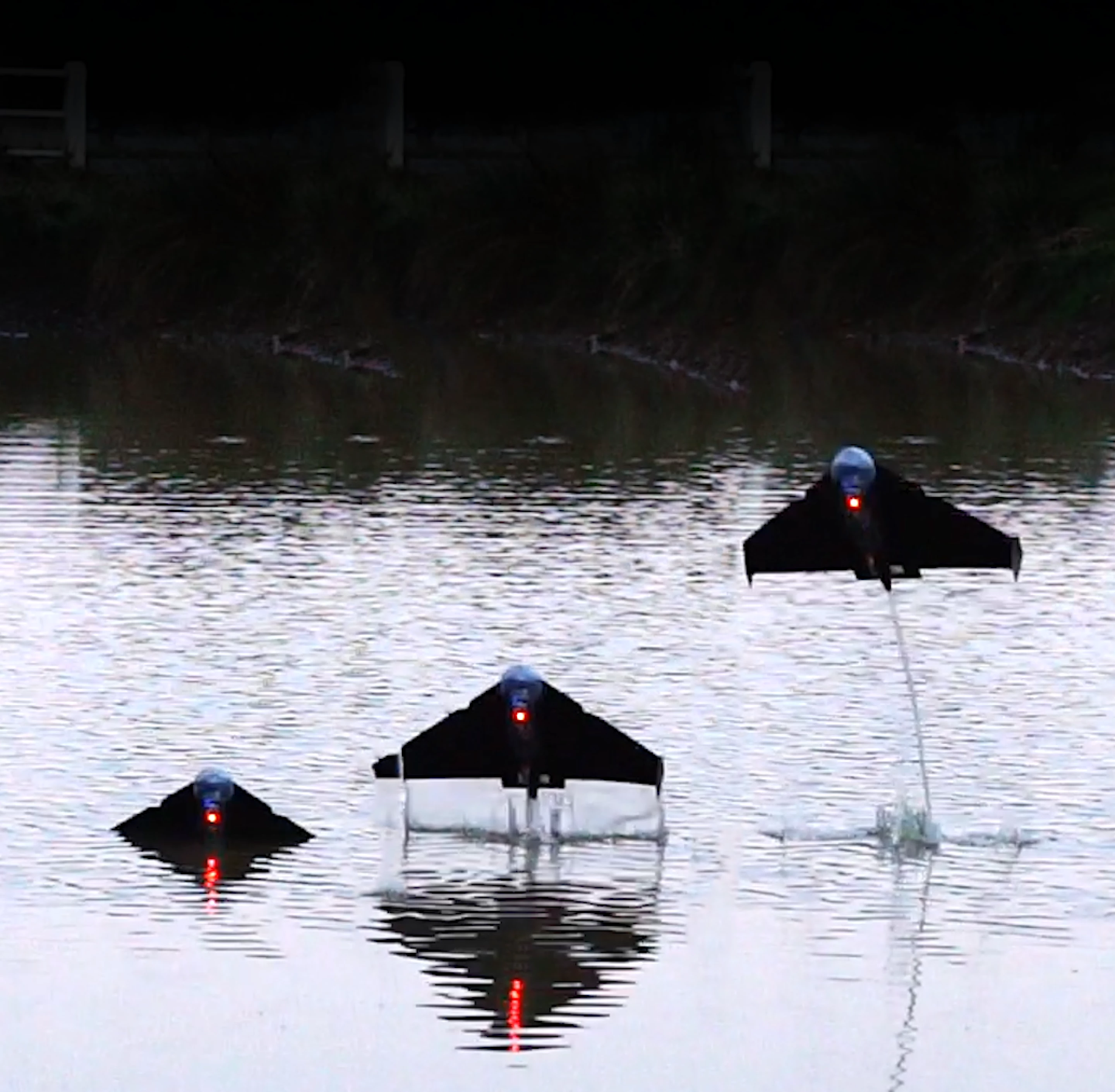 "Flying fish" robot uses surrounding water for flight fuel