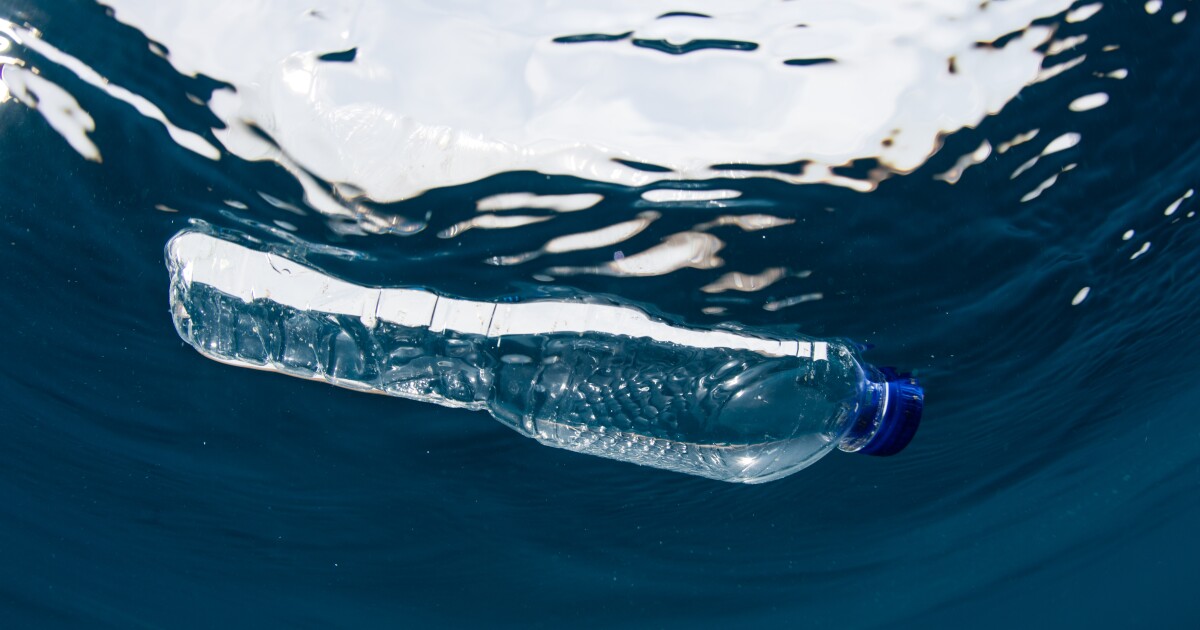 Alarming study finds plastic ocean pollution harms bacteria that ...
