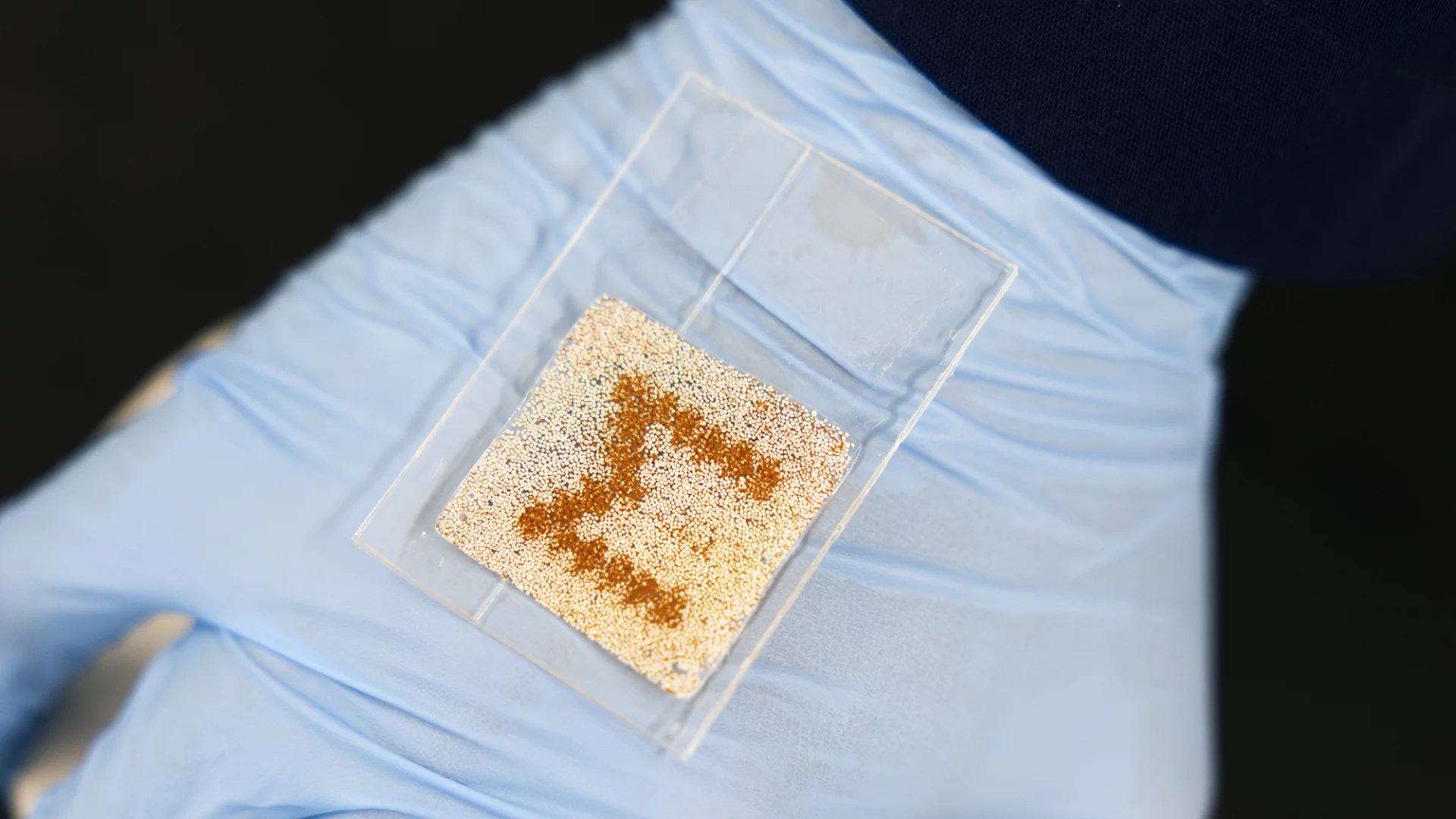 Squid-skin-inspired screen displays encrypted images using only magnets