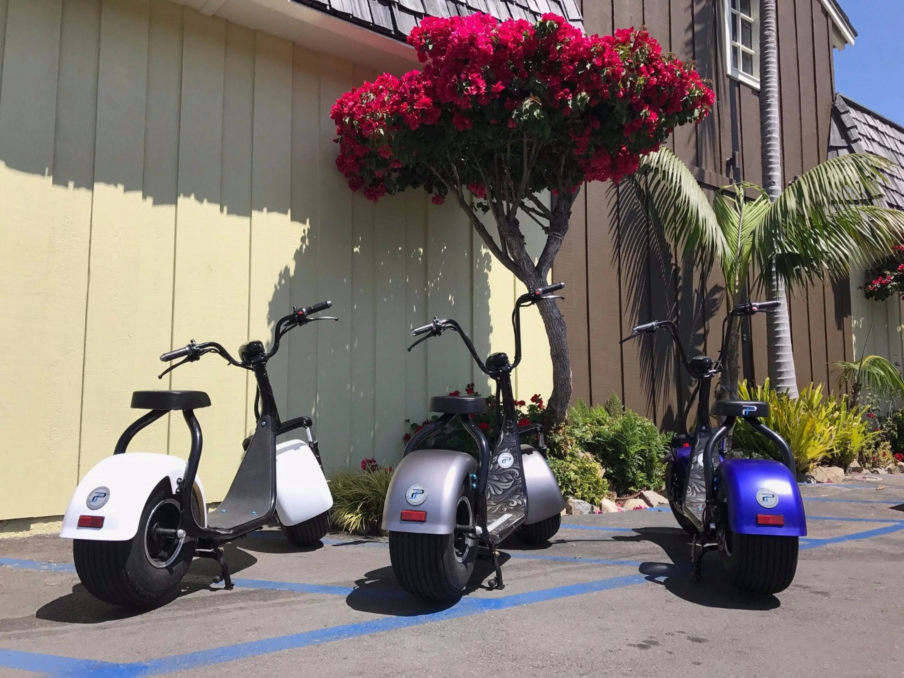 Phat Scooters offer kick-free sit or stand fat-tire ride