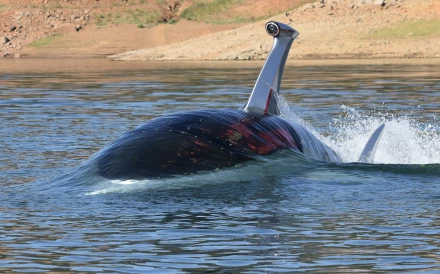 Jet Shark takes multiple passengers on a semi-submersible thrill ride