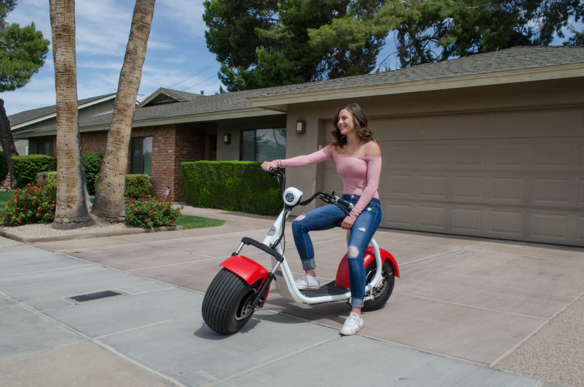 Phat Scooters offer kick-free sit or stand fat-tire ride